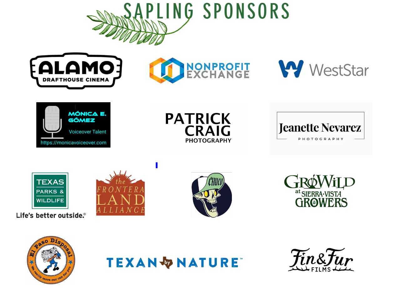 Interview with Artist Bordalo II and Candace Printz about the Green ...